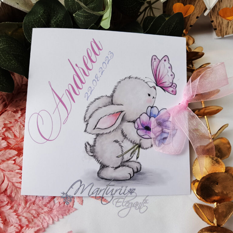 Invitatie Botez cu Animalute Haioase si Baloane Inima